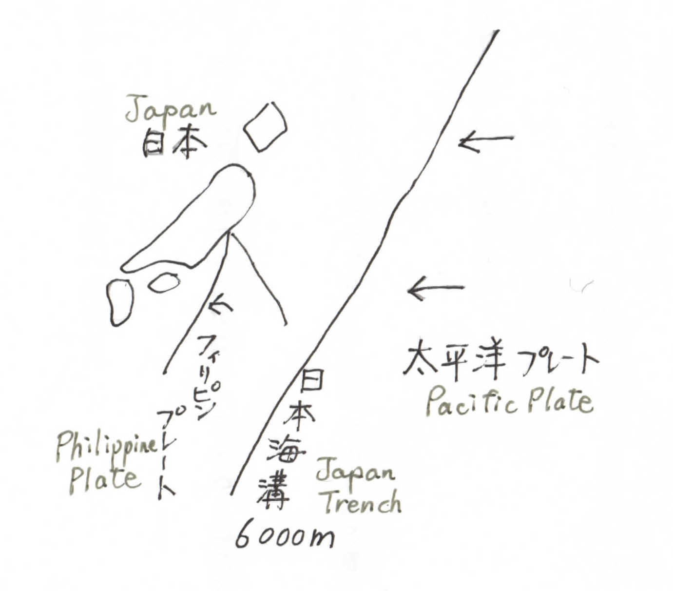 4. What is the difference between “Magnitude” and “Shindo(seismic ...